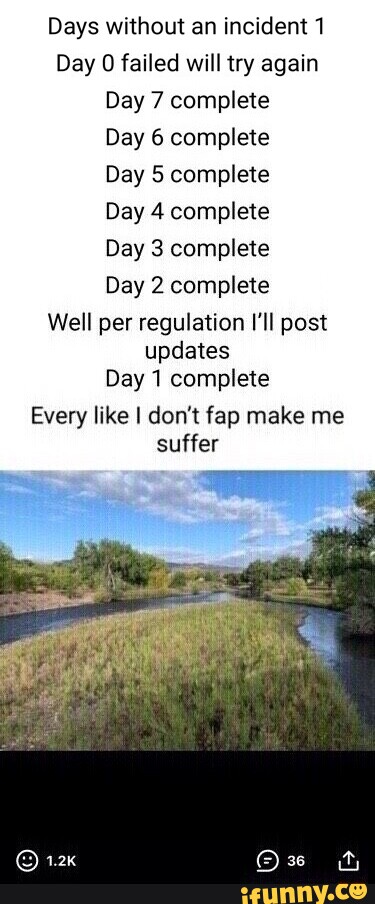 Days without an incident Day 0 failed will try again Day 7 complete Day ...