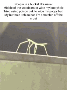 Poopy memes. Best Collection of funny Poopy pictures on iFunny