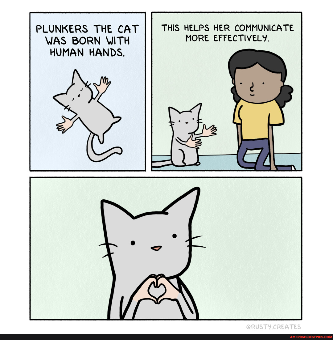 PLUNKERS THE CAT THIS HELPS HER COMMUNICATE WAS BORN WITH MORE ...