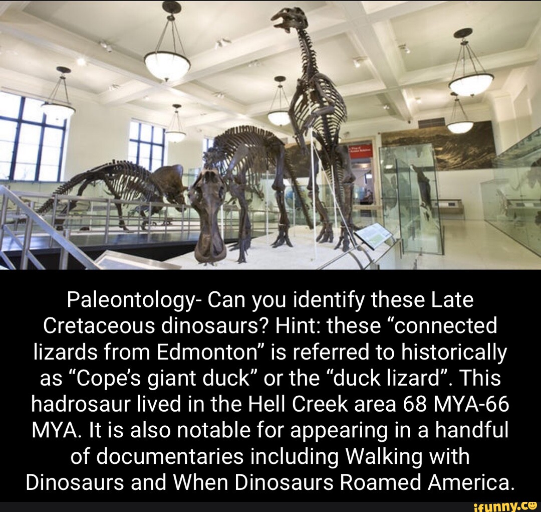 Paleontology- Can you identify these Late Cretaceous dinosaurs? Hint ...