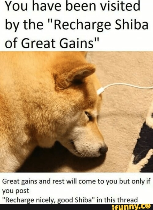 You have been visited by the "Recharge Shiba of Great Gains" Great ...