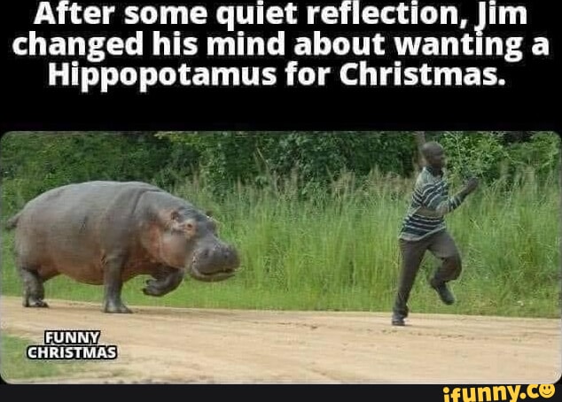Hippopotamus memes. Best Collection of funny Hippopotamus pictures on ...