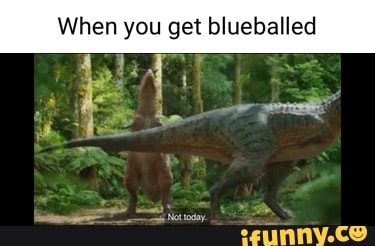 Blueballed memes. Best Collection of funny Blueballed pictures on iFunny