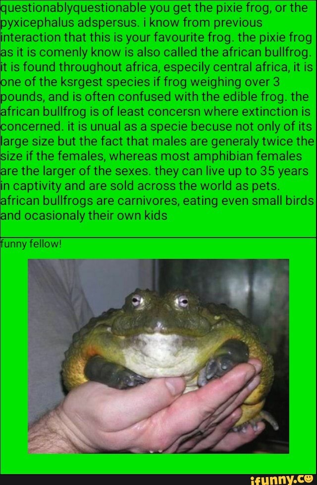 Pyxicephalus memes. Best Collection of funny Pyxicephalus pictures on ...