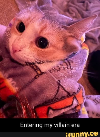 Entering my villain era - iFunny