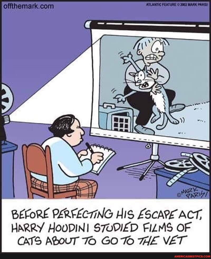 BEFORE PERFECTING HIS ACT, HARRY HOUDINI STUDIED FILMS OF CATS ABOUT ...