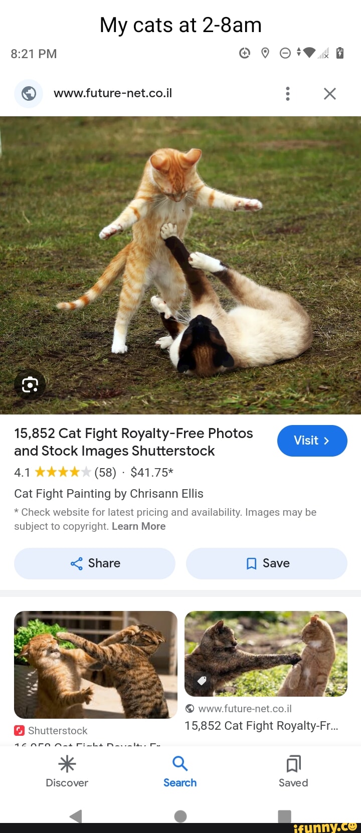 Shutterstock memes. Best Collection of funny Shutterstock pictures on ...