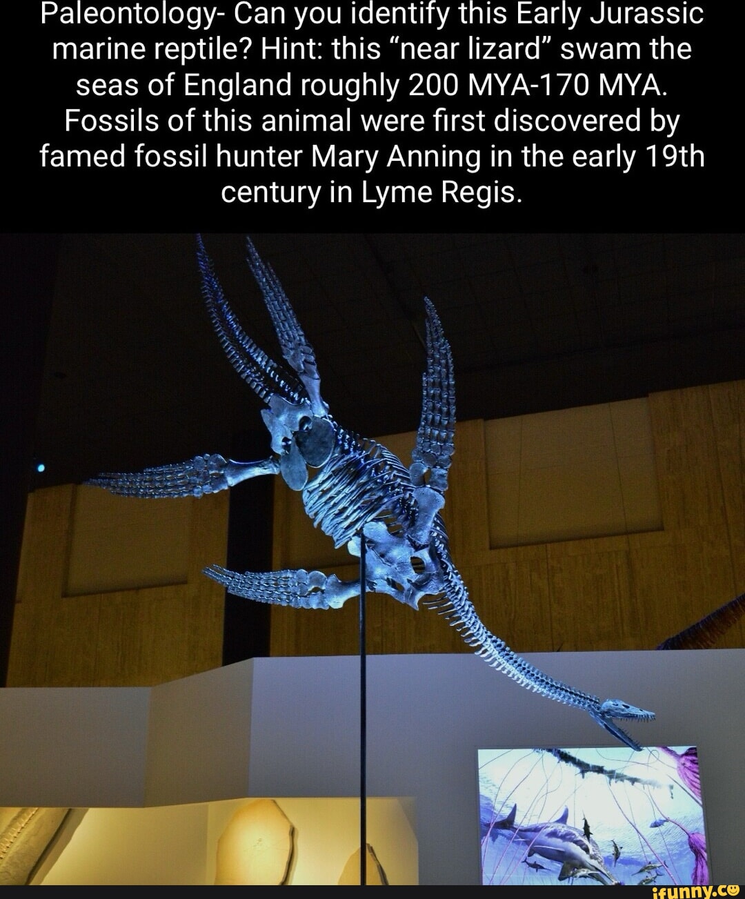 Paleontology- Can you identify this Early Jurassic marine reptile? Hint ...