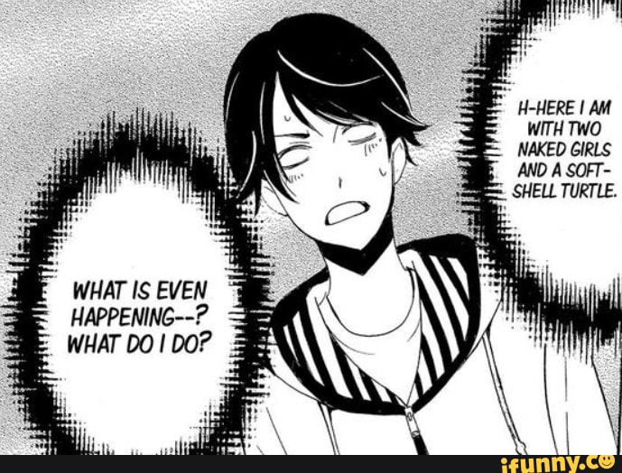 Fuuka memes. Best Collection of funny Fuuka pictures on iFunny