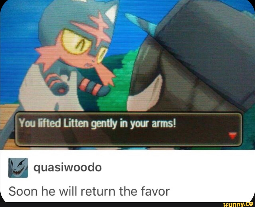 Litten memes. Best Collection of funny Litten pictures on iFunny