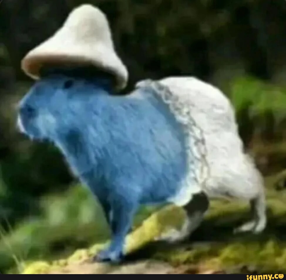 Picture memes HLnuuhcqA by Hittl3rsCapybara: 1 comment - iFunny