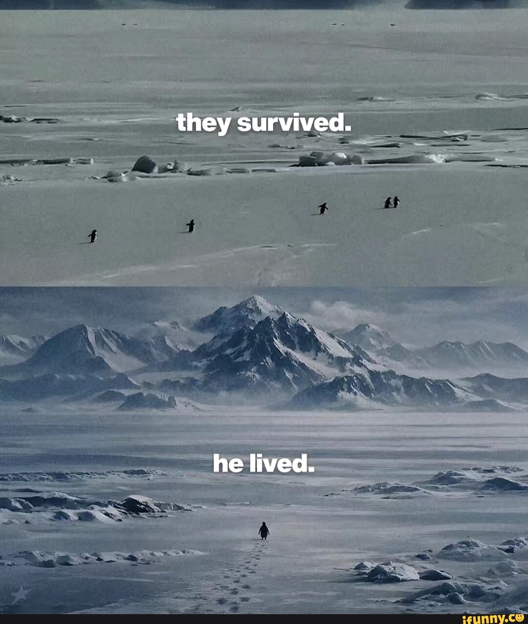 They survived. he lived. - iFunny