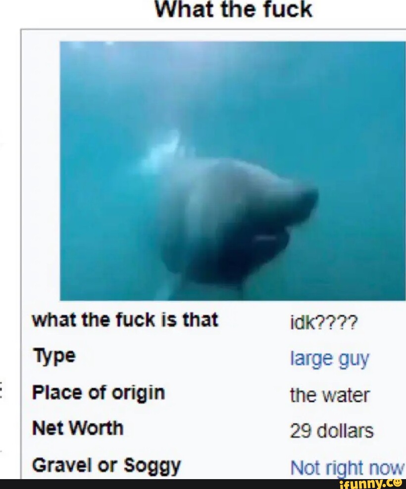 What the fuck what the fuck is that idk???? Type large guy Place of ...