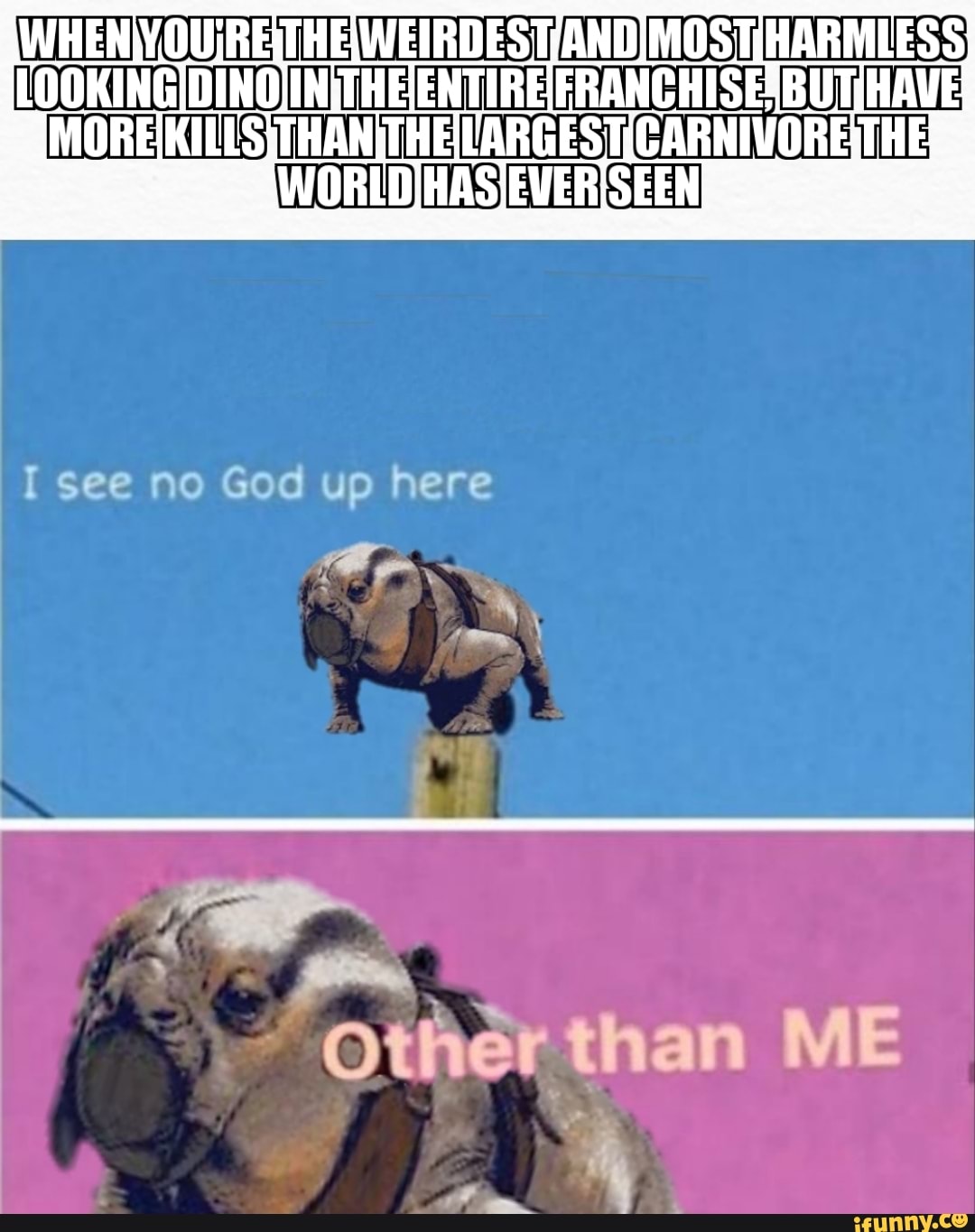 Lystrosaurus memes. Best Collection of funny Lystrosaurus pictures on ...