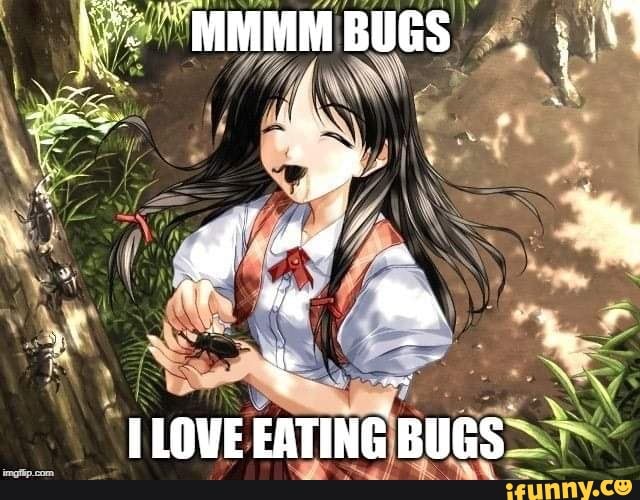 MMMMBUGS LOVE EATING BUGS - iFunny