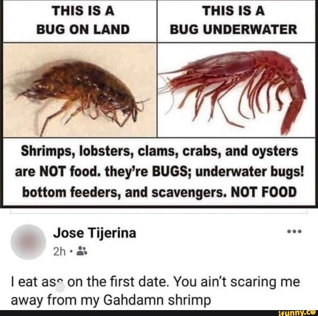 Clams memes. Best Collection of funny Clams pictures on iFunny