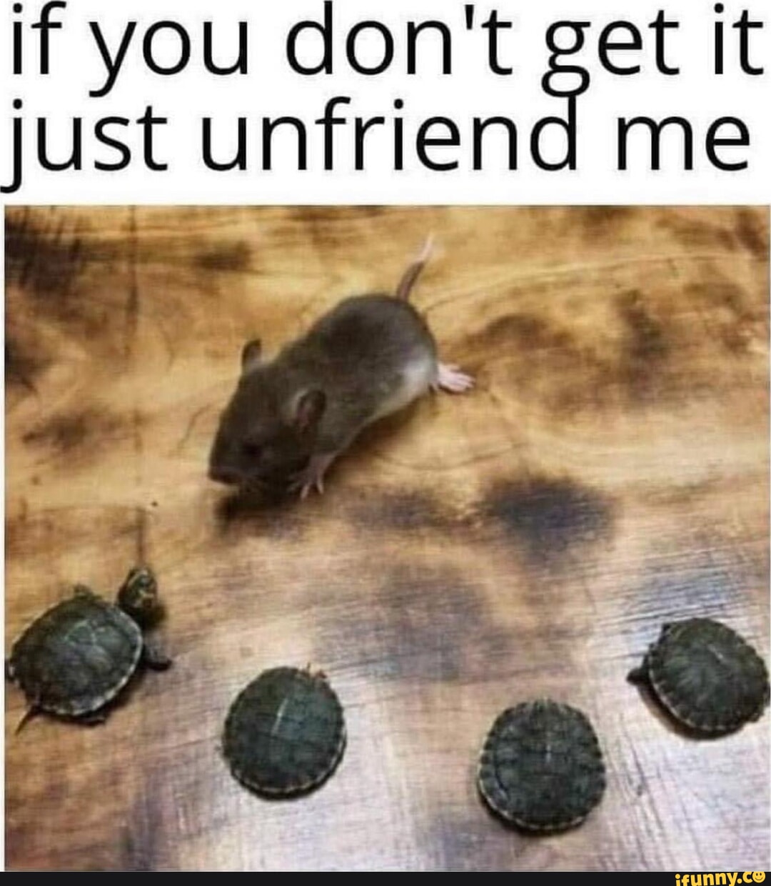 Unfriend memes. Best Collection of funny Unfriend pictures on iFunny