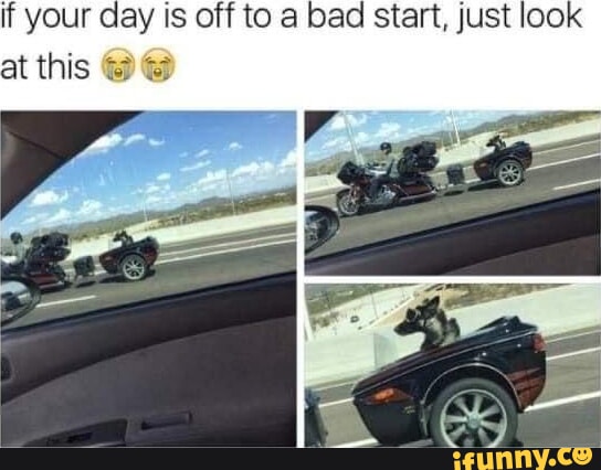 Video memes p74e61x0B by cthetexasking - iFunny