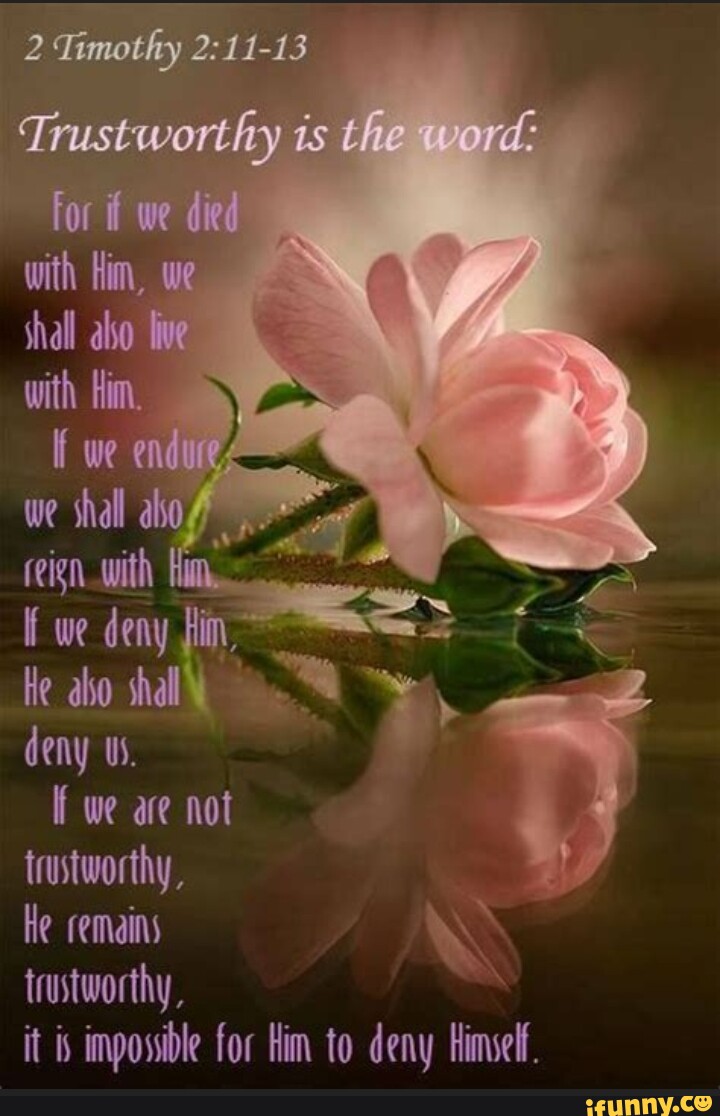 Thall memes. Best Collection of funny Thall pictures on iFunny