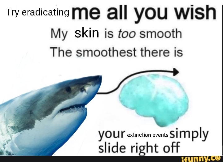 Smoothshark memes. Best Collection of funny Smoothshark pictures on iFunny
