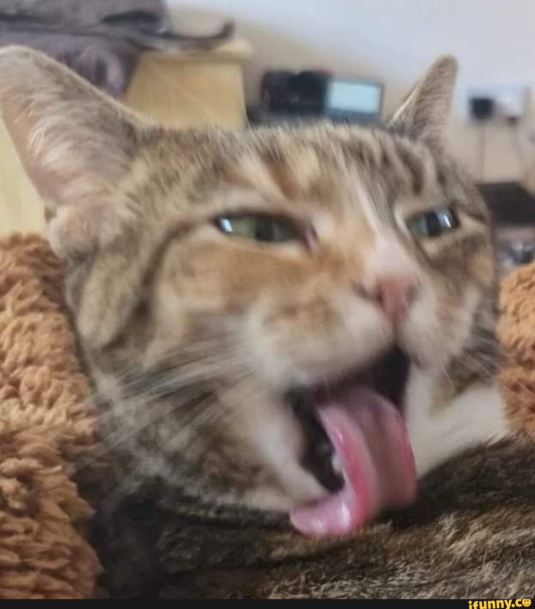 Spaz memes. Best Collection of funny Spaz pictures on iFunny