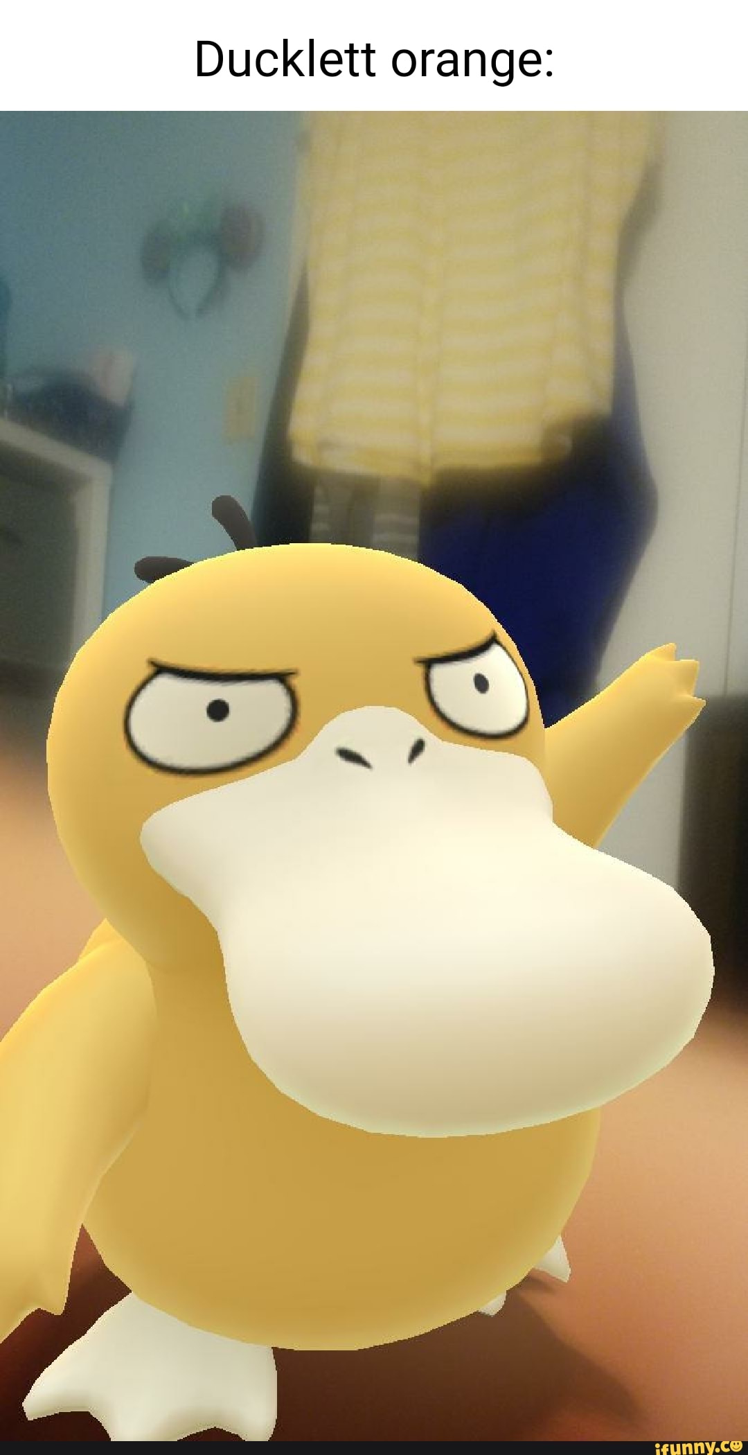 Ducklett memes. Best Collection of funny Ducklett pictures on iFunny