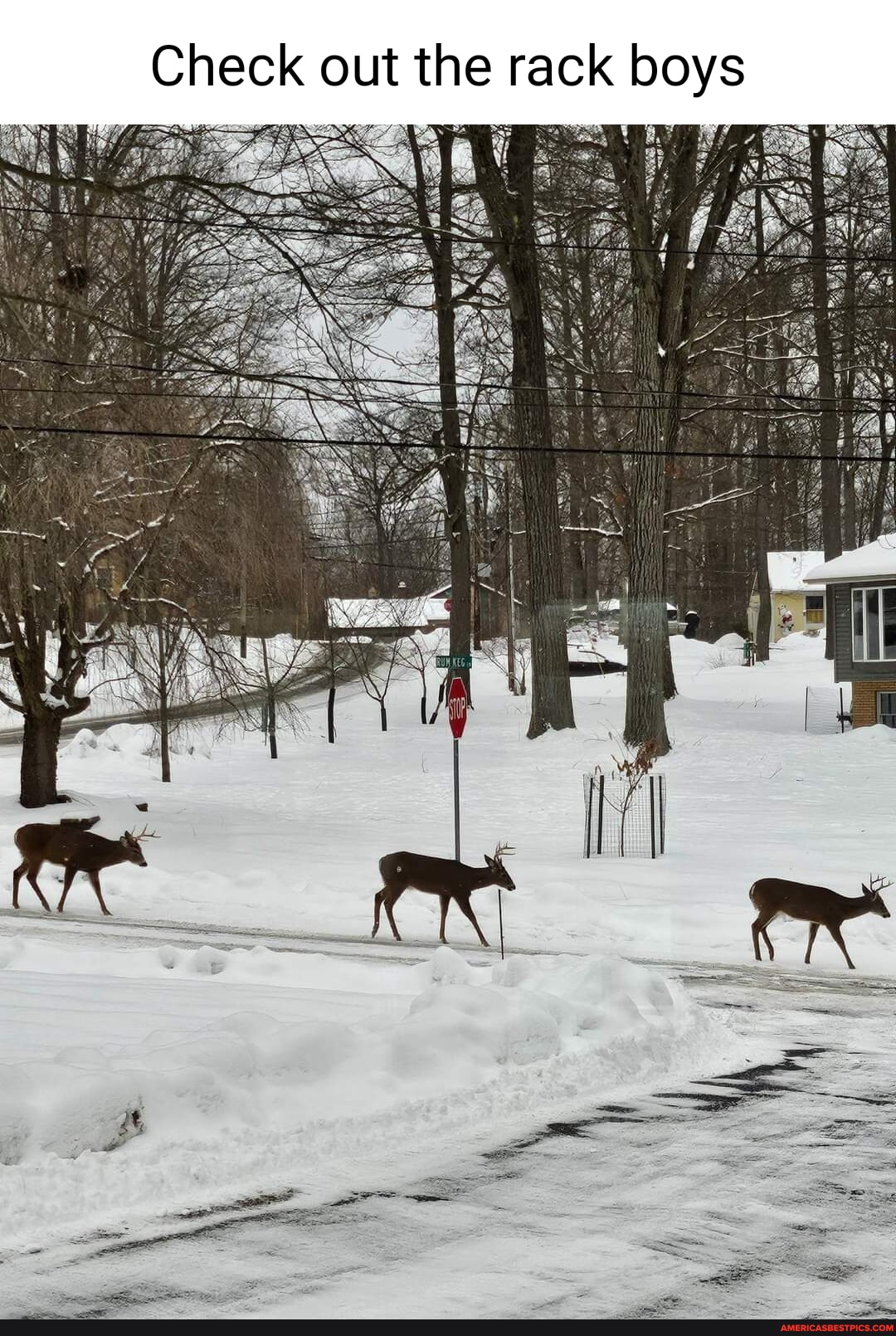 Check out the rack boys - America’s best pics and videos