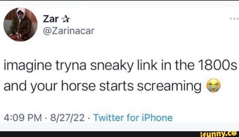 Zar @Zarinacar imagine tryna sneaky link in the 1800s and your horse ...