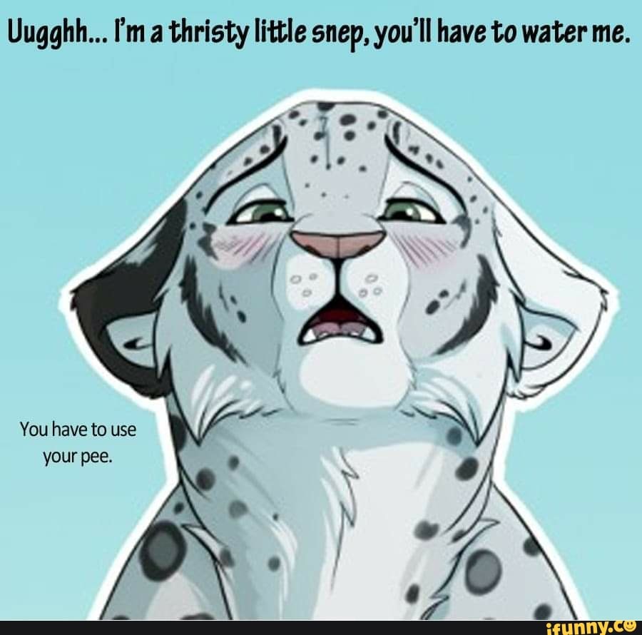 Uugghh... I'm a thristy little snep, you'll have to water me. You have ...