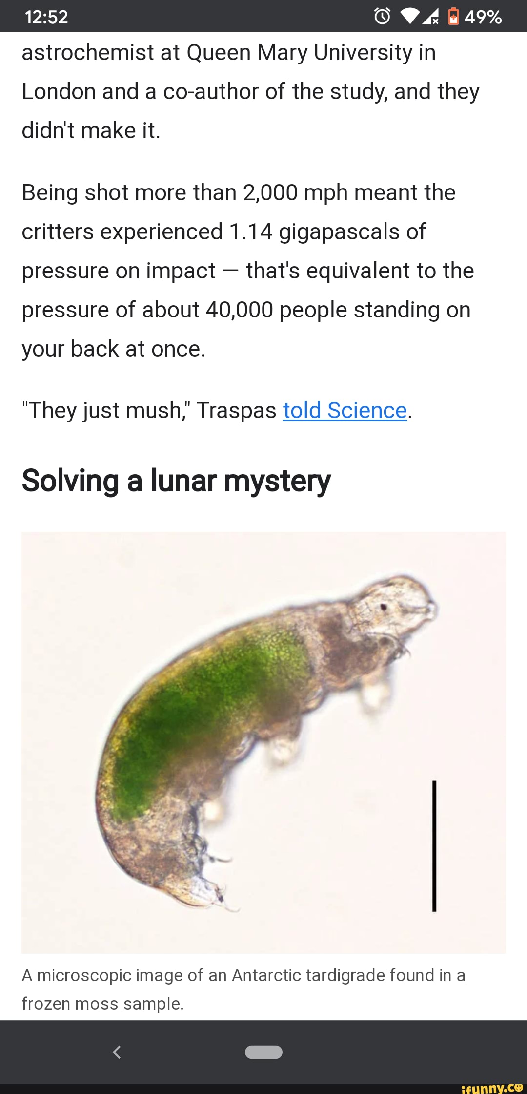 Gigapascals memes. Best Collection of funny Gigapascals pictures on iFunny