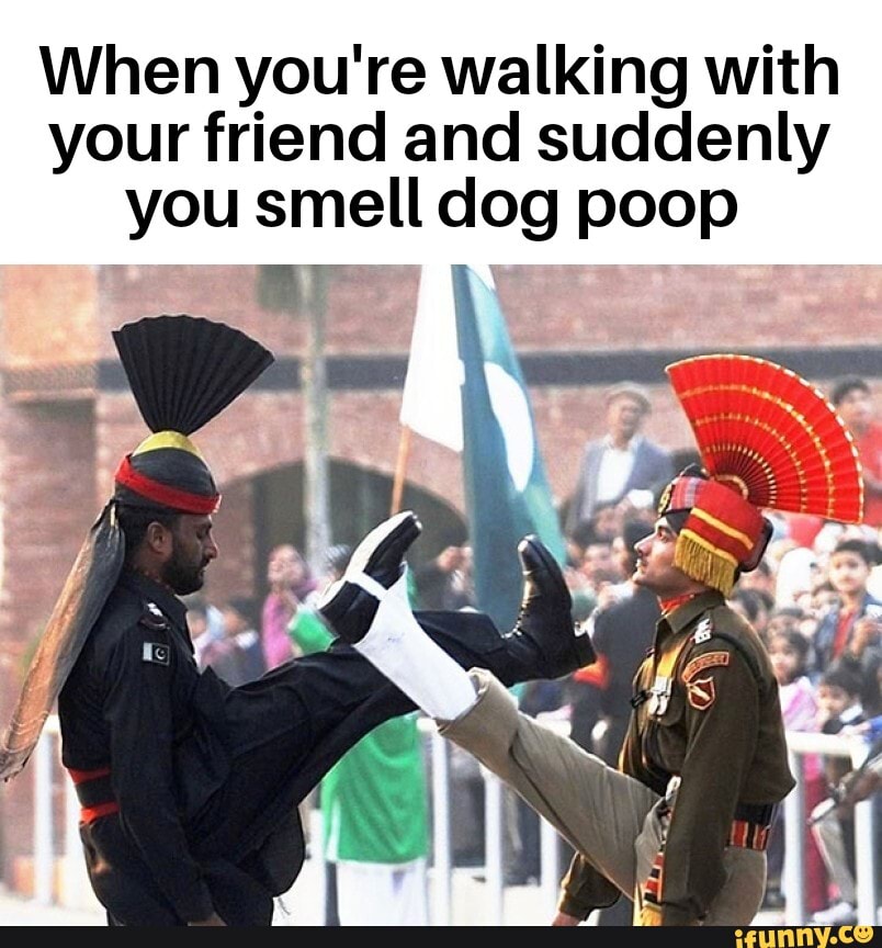 Gummit memes. Best Collection of funny Gummit pictures on iFunny