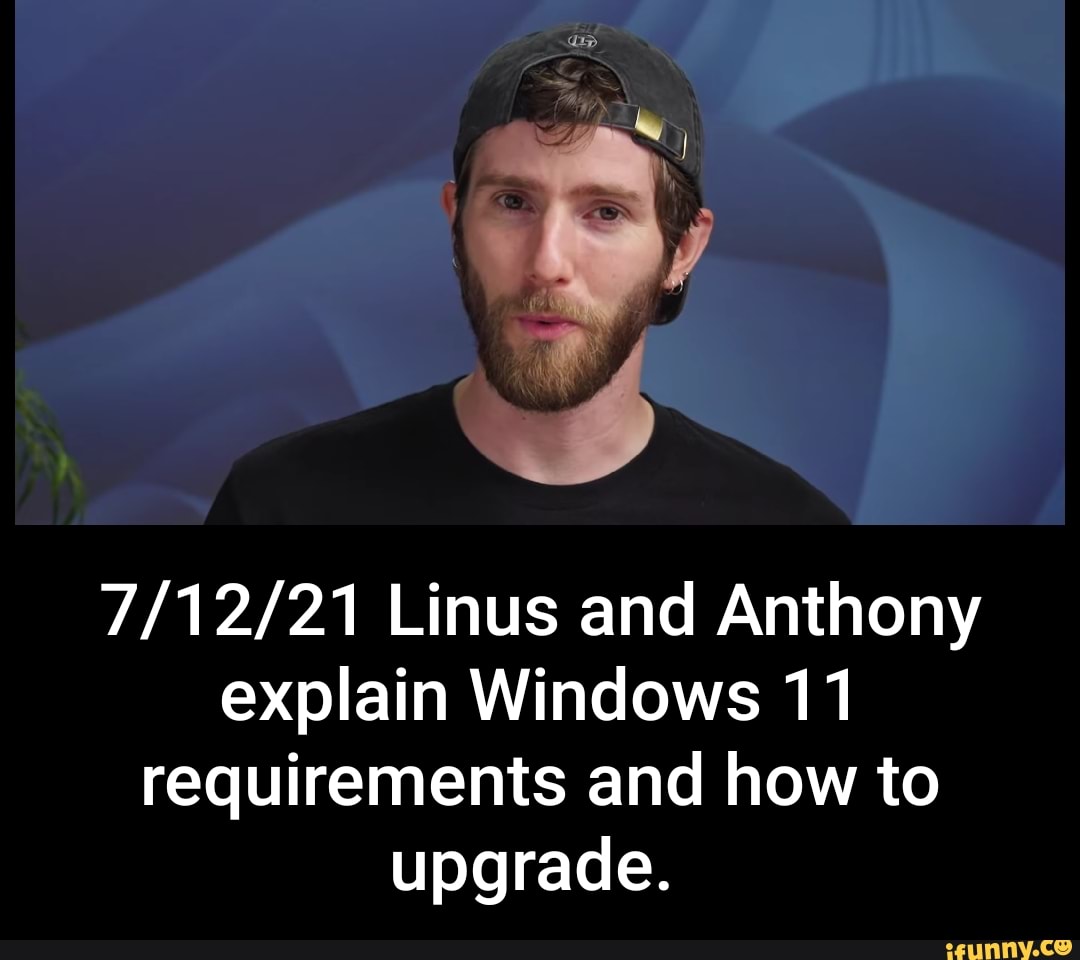 Linus and Anthony explain Windows 11 requirements and how to upgrade ...