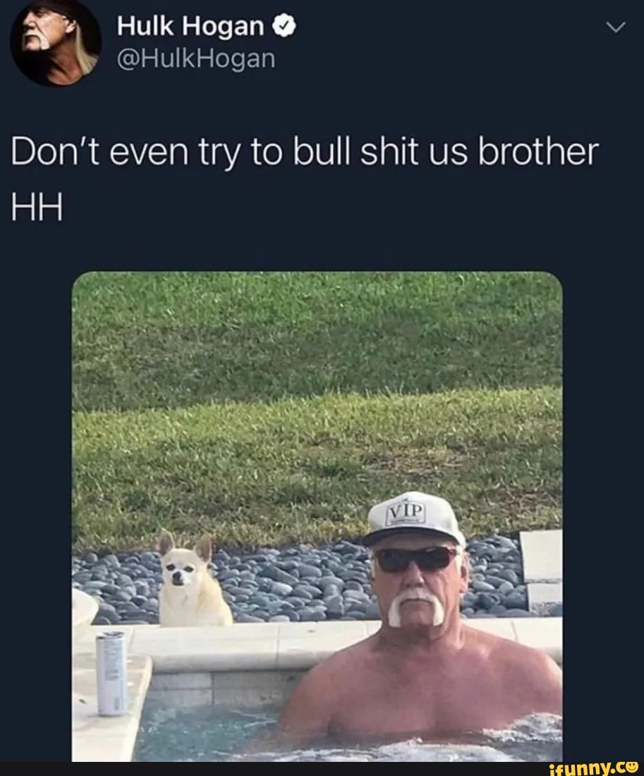 Hulk Hogan @ Don't even try to bull shit us brother HH - iFunny