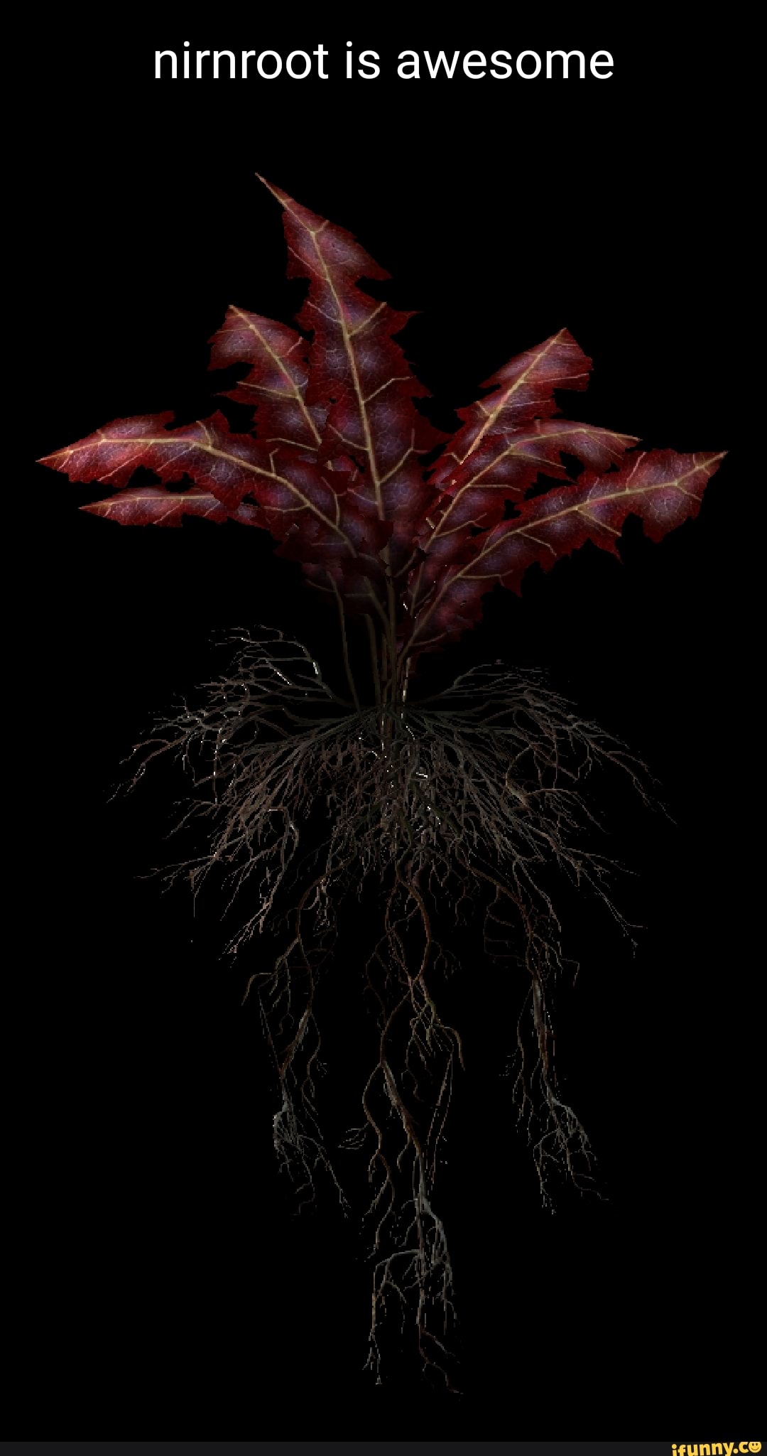 Nirnroot is awesome - iFunny