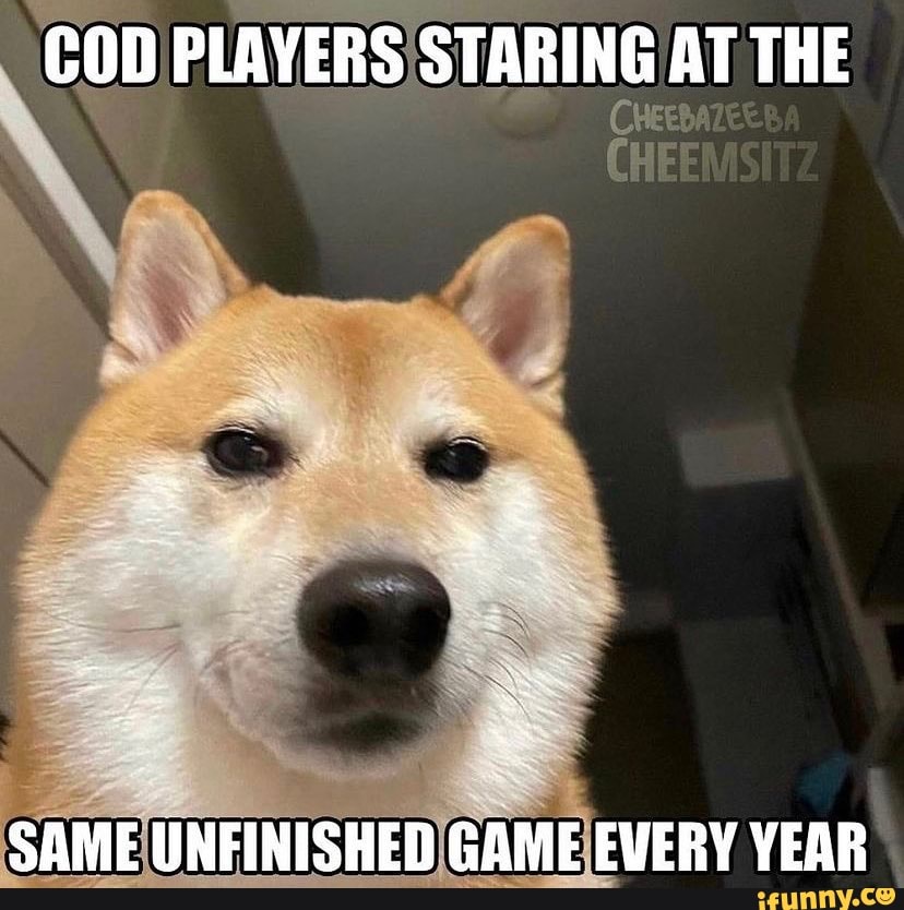 COD PLAYERS STARING AT THE SAME UNFINISHED GAME EVERY YEAR - iFunny