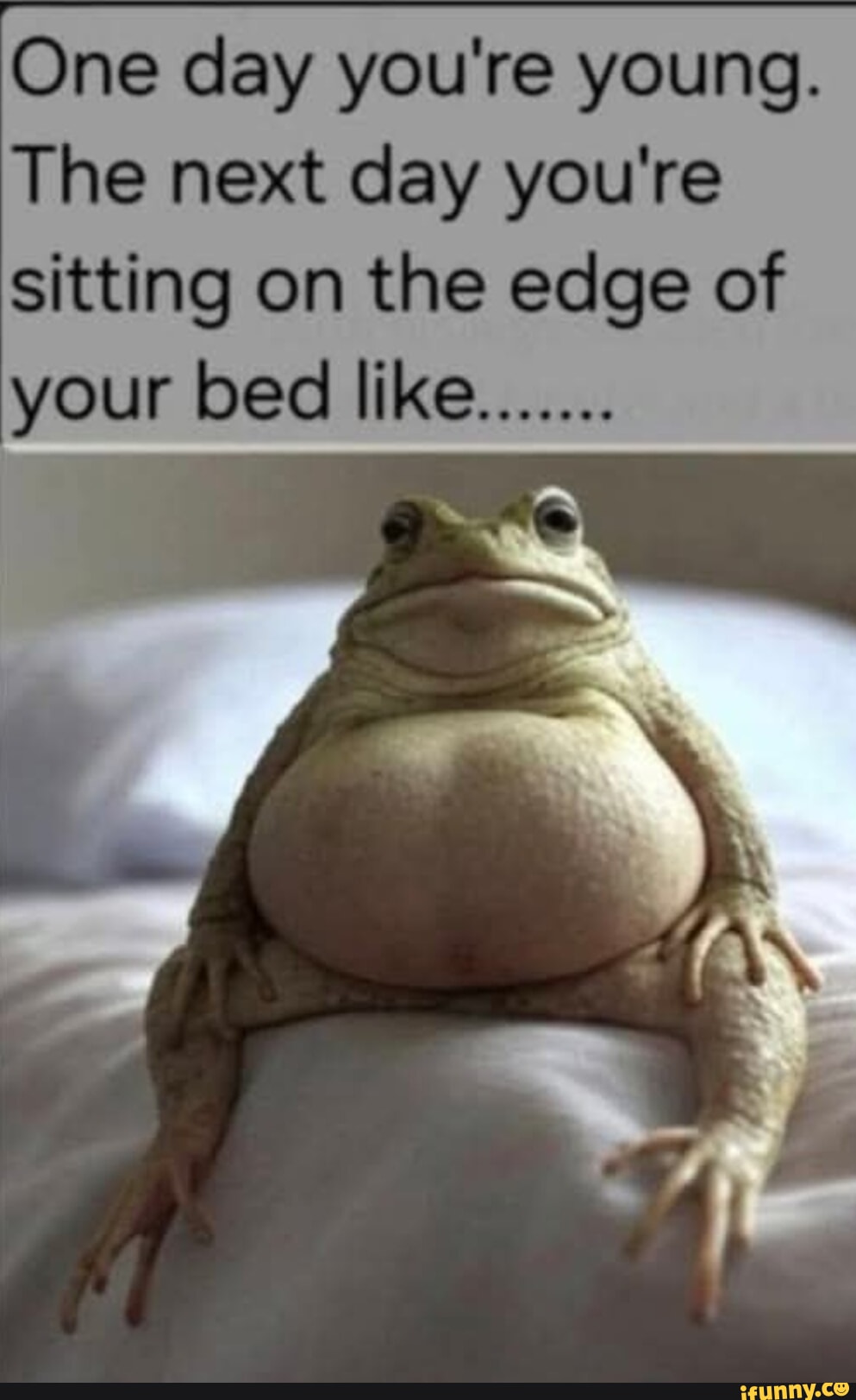 One day you're young. The next day you're sitting on the edge of your ...
