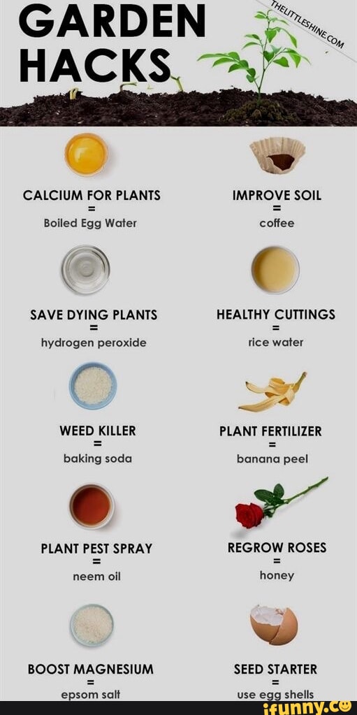 Hacks memes. Best Collection of funny Hacks pictures on iFunny