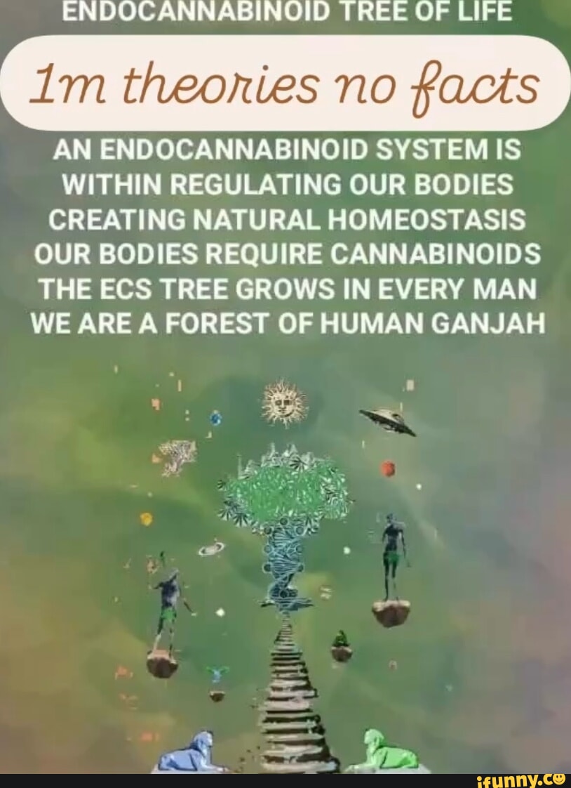 END OCANNABINOID TREE OF LIFE theortes no facts AN ENDOCANNABINOID ...