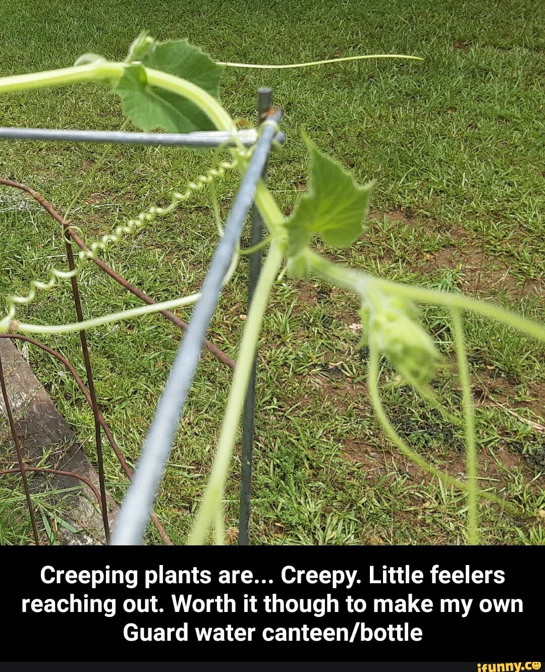 Feelers memes. Best Collection of funny Feelers pictures on iFunny