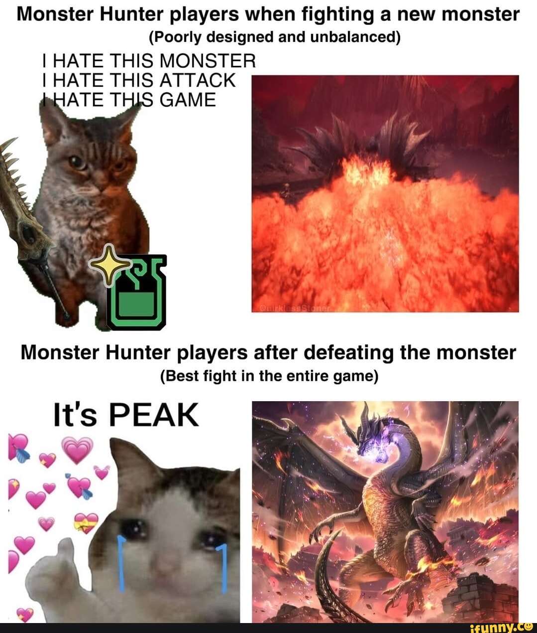 Monster Hunter players when fighting a new monster (Poorly designed and ...