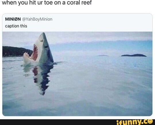 You hit ur toe on a COral MEMIQM YanBoyMirion, caption this - iFunny