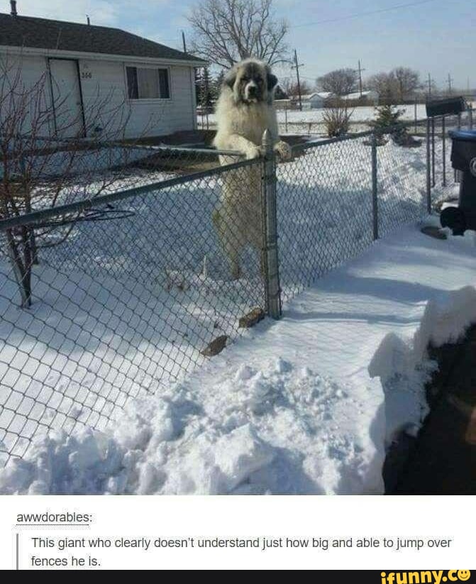 E humanpersonface So I googled Stygian Blue and... stygian blue W ...