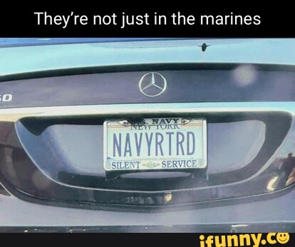 Over a 15 day period in 1984, four shark attacks - one of them fatal ...