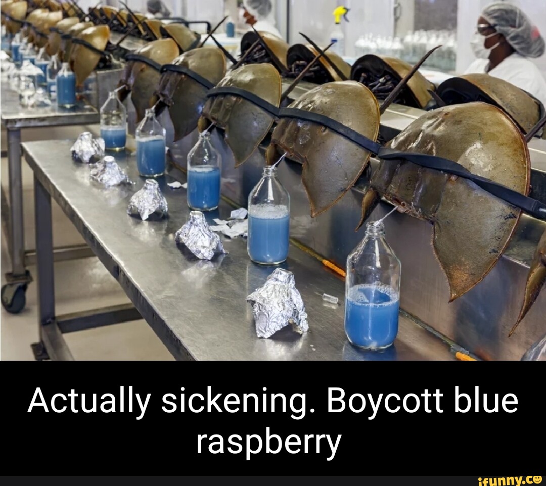 Scary movie: [Subtitles] *Loud Bang* Deaf person: - iFunny