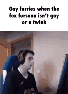 Gay furries when the fox fursona isn't gay or a twink - iFunny