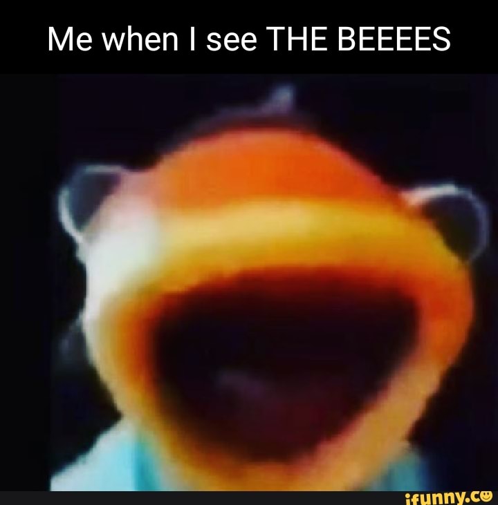 Beeees memes. Best Collection of funny Beeees pictures on iFunny
