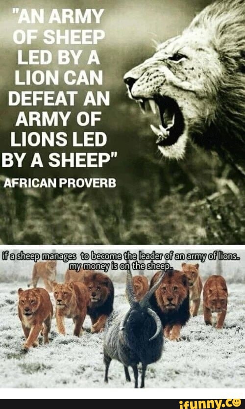Sheep memes. Best Collection of funny Sheep pictures on iFunny
