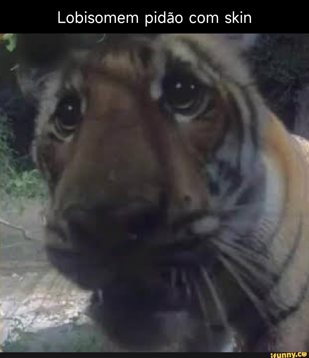 Lobisomem pidão com skin - iFunny Brazil