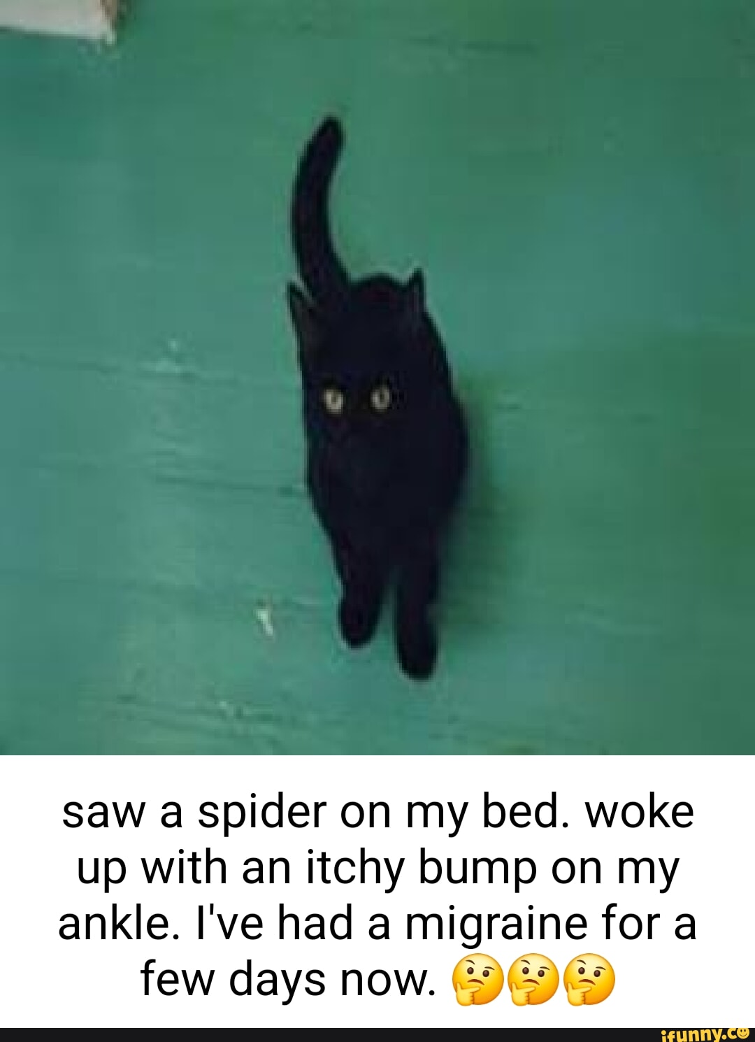 Itchy memes. Best Collection of funny Itchy pictures on iFunny