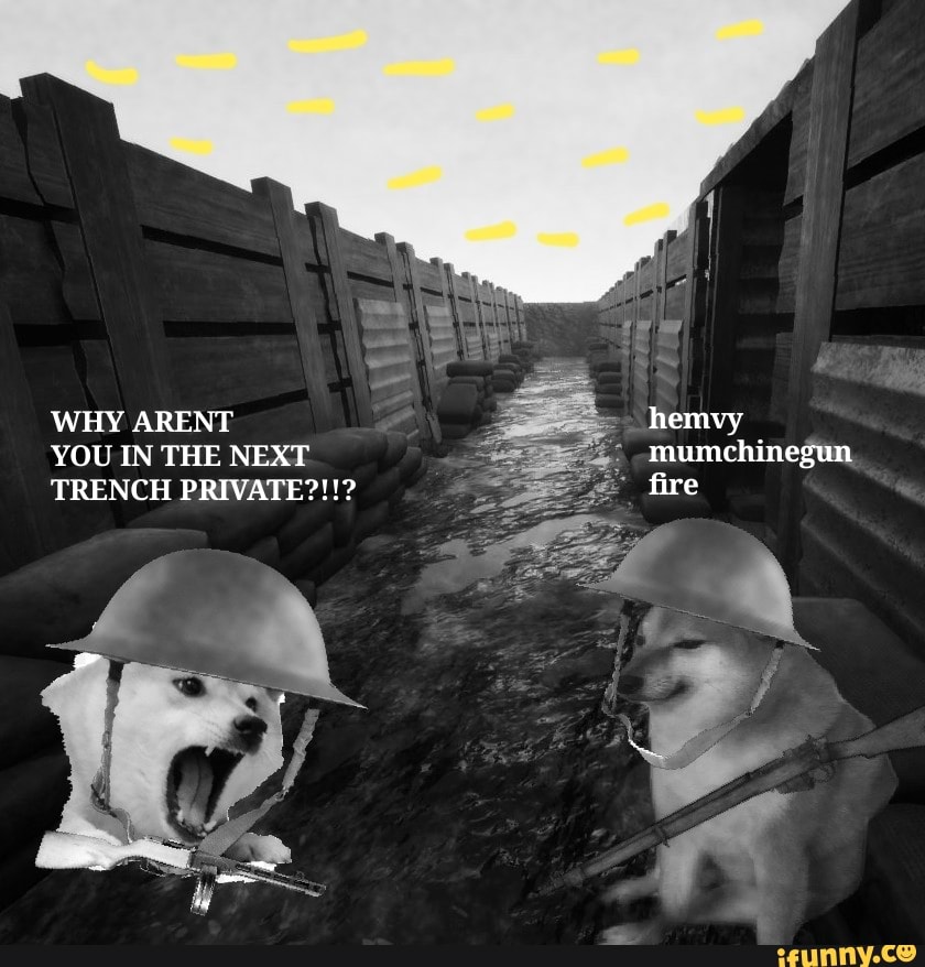 Picture memes Hq99cpSJ7 by Digital3jm: 205 comments - iFunny